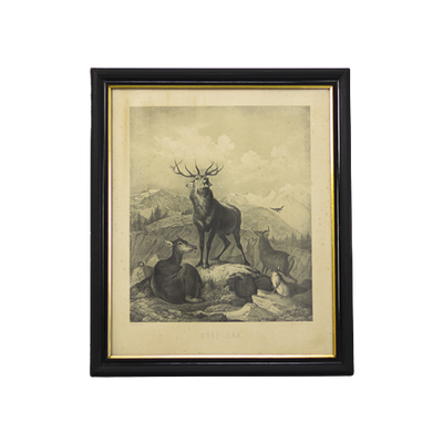 Natuur / Herten Prent In Lijst | Zeefdrukken & Litho | Reliving